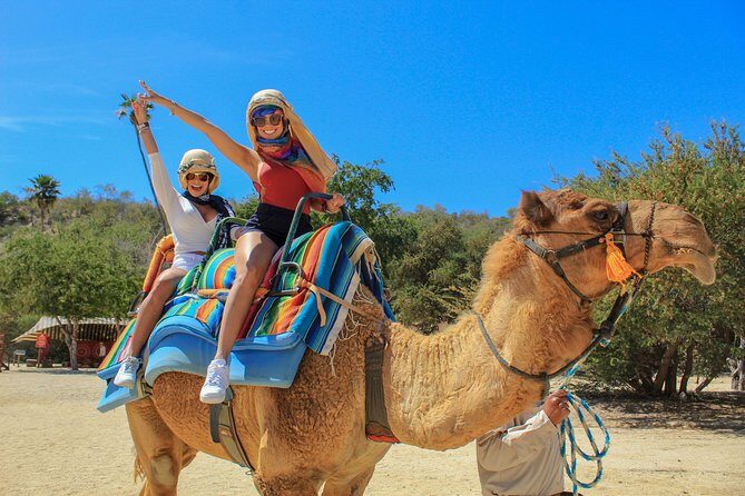 Camel Ride in the Canyon + Thrilling Water-Slides & Snacks - Key Points