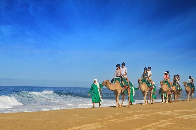 Camel Ride On The Beach at Los Cabos - Authentic Insights from Reviewers