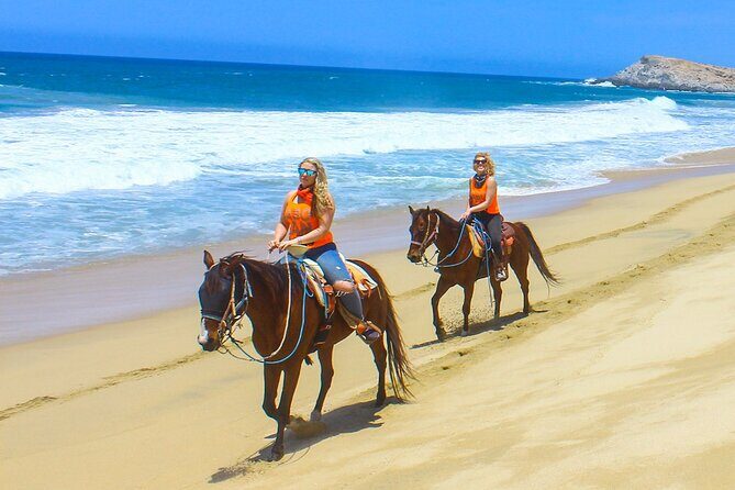 Camel Ride Tour in Los Cabos - Key Points