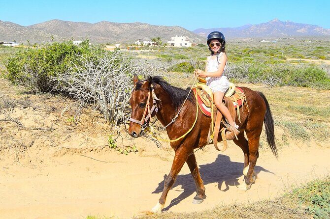 Camel Ride Tour in Los Cabos - Why This Tour Works Well