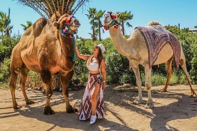 Camel Ride, UTV, and The Arch Tour with Lunch & Tequila Tasting! - Practical Details and Tips for Travelers