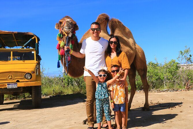 Camel riding experience on the shores of the Pacific Ocean - An In-Depth Look at the Camel Riding Tour