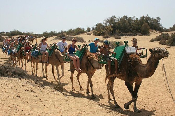 Camel Riding in Maspalomas Dunes - Practical Tips for a Great Camel Ride in Maspalomas