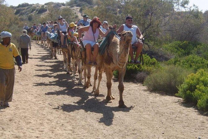 Camel Riding in Maspalomas Dunes - The Sum Up: Is It Worth It?