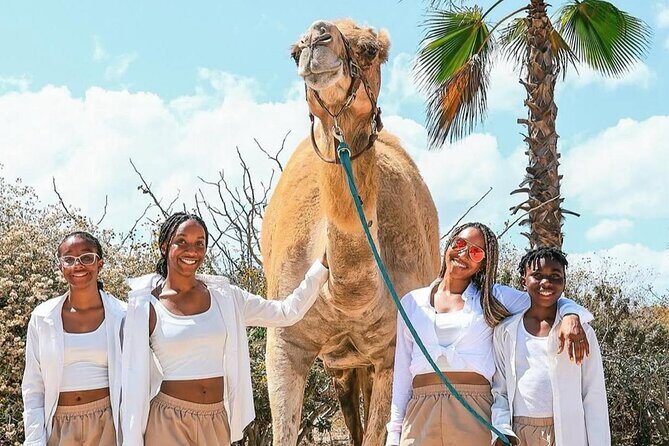 Camel Safari and Gastronomic Experience in Los Cabos - Exploring the Itinerary in Detail