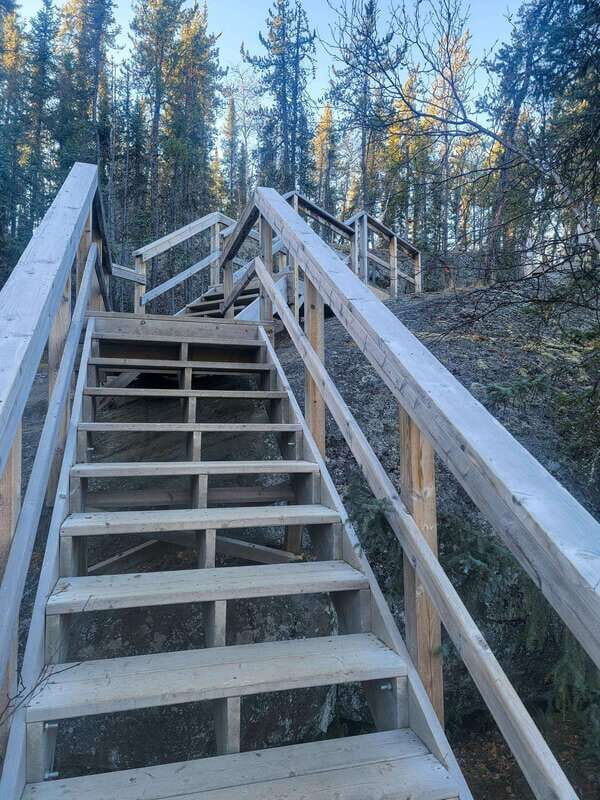 Cameron Falls Waterfall Tour - Wildlife and Wilderness Encounters