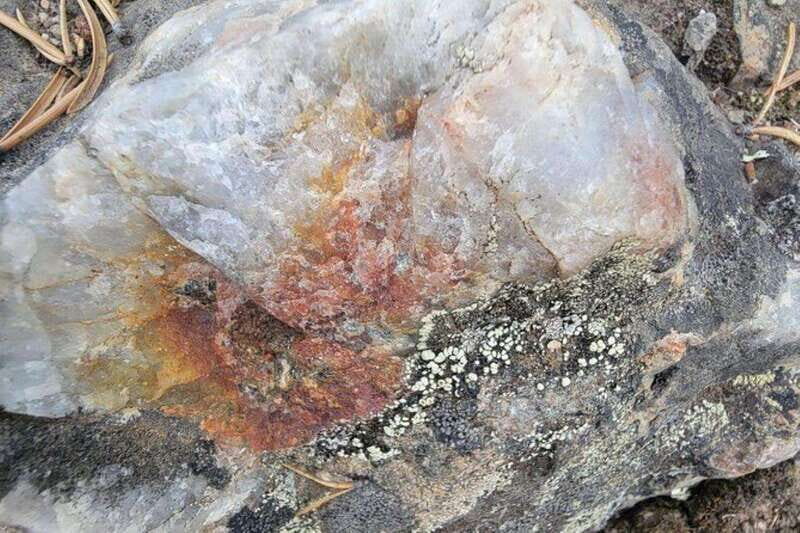 Cameron Falls Waterfall Tour - Final Thoughts