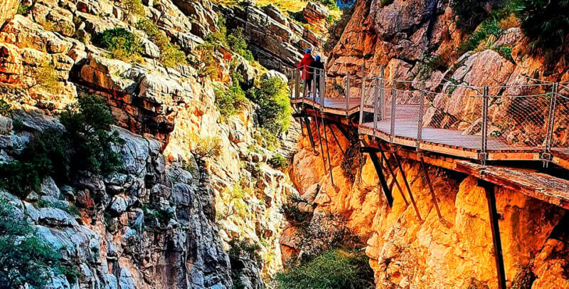 Caminito del Rey Guided Tour & Welcome Pack from Málaga - The Guides: The Heart of the Experience