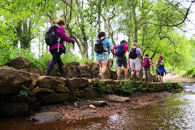 Camino de Santiago French from Sarria to Santiago de Compostela - What Could Be Better?