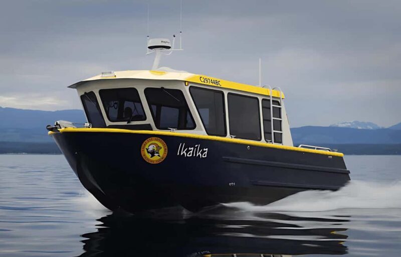 Campbell River: 6 Hour Covered Whale Watching Tour w/ Lunch - Key Points