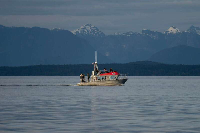 Campbell River: 6-Hour Whale Watching Boat Tour - Who Should Consider This Tour?