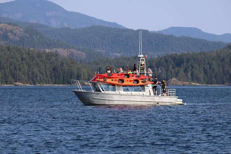 Campbell River: Kayaking and Whale Watching Tour - The Experience in Detail