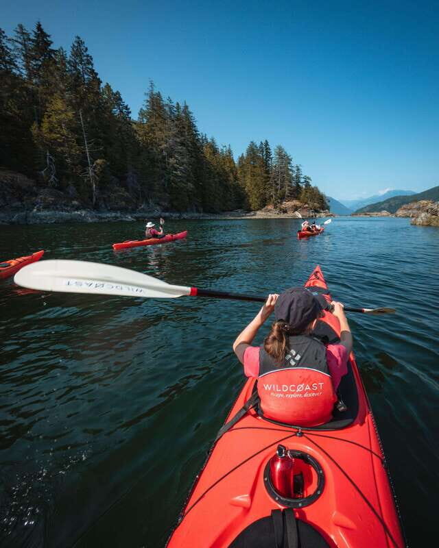 Campbell River: Kayaking and Whale Watching Tour - Final Words