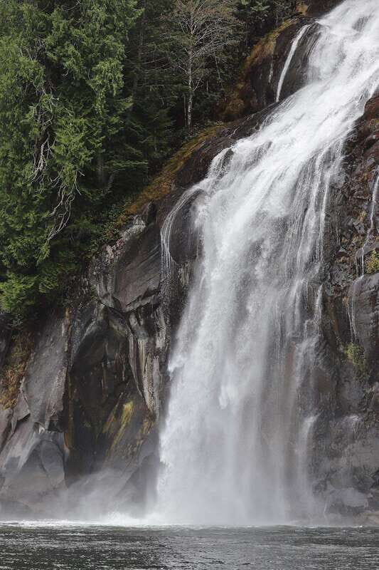 Campbell River: Spring Bear Watching & Waterfalls Boat Tour - Final Thoughts: Who Will Love This Experience?