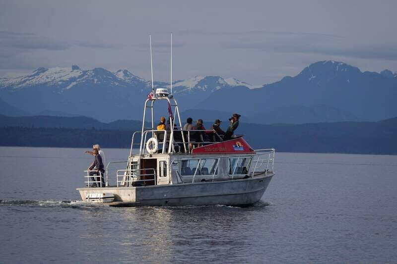 Campbell River: Spring Bear Watching & Waterfalls Boat Tour - FAQ