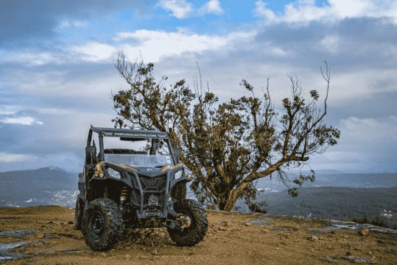 Can-Am Experience - An Overview of the Can-Am Experience