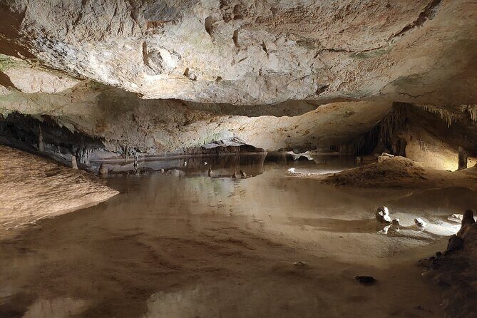 Can Marca, Las Dalias Hippie Market and Benirras Tour - Should You Book This Tour?