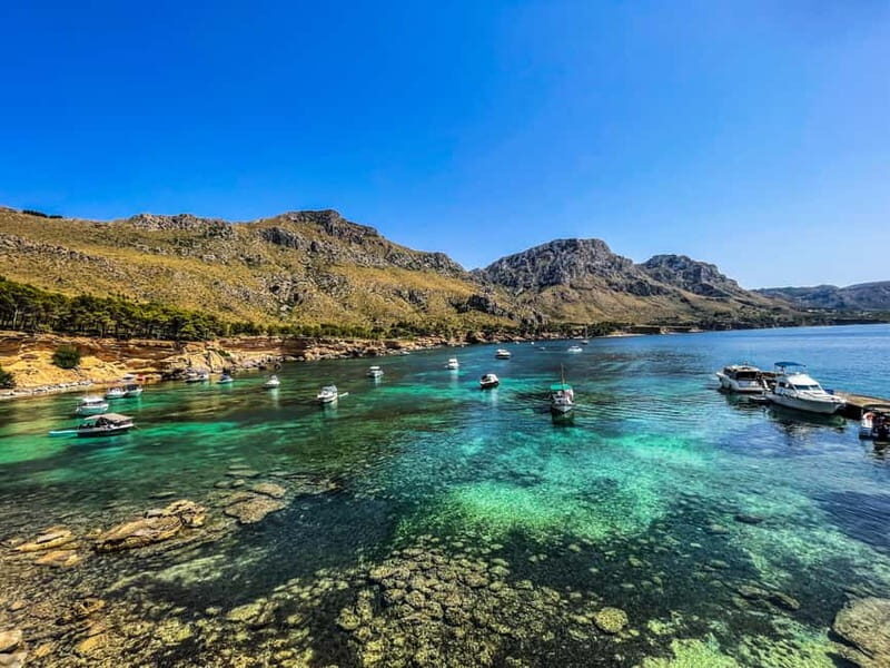 Can Picafort: 2-Hour Boat Tour with Snorkeling & Sea Caves - Pricing and Value