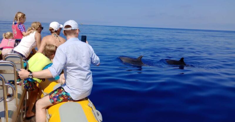 Can Picafort: Dolphin Watching Boat Tour, Swimming stop - An In-Depth Look at the Experience
