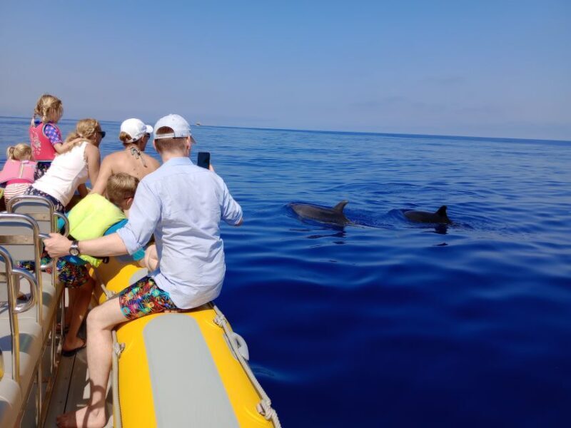 Can Picafort: Dolphin Watching Boat Tour, Swimming stop - Who This Tour is Perfect For