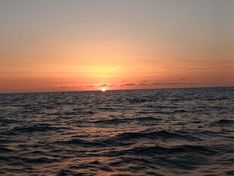 Can Picafort: Dolphin Watching Boat Tour, Swimming stop - Final note