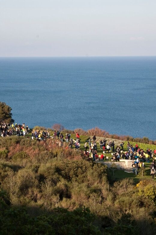 Canakkale: 6-Hour Gallipoli Tour with Lunch - Who Would Enjoy This Tour?