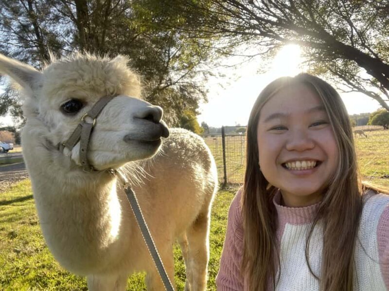 Canberra: Alpaca Adventure Farm Tour (morning tea included) - A Closer Look at the Alpaca Adventure Farm Tour