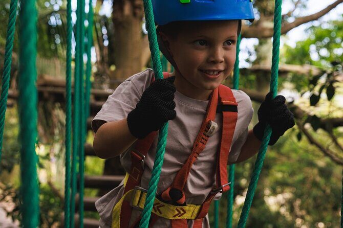 Canberra Junior Tree Ropes Course - Who Will Appreciate This Tour?