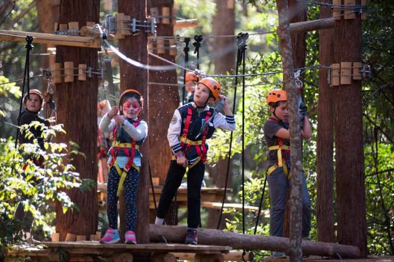 Canberra: Majura Pines Junior Tree Ropes Course - An Overview of the Treetops Adventure Experience