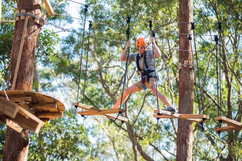 Canberra: Majura Pines Tree Ropes Course - Key Points