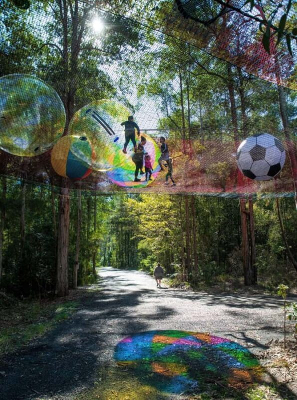 Canberra: Networld Treetop Adventure - Overview of Networld Treetop Adventure