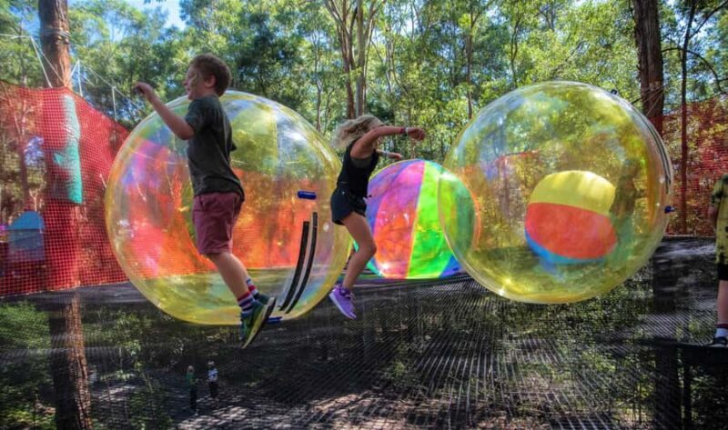 Canberra: Networld Treetop Adventure - The Experience: Highlights and Authentic Insights