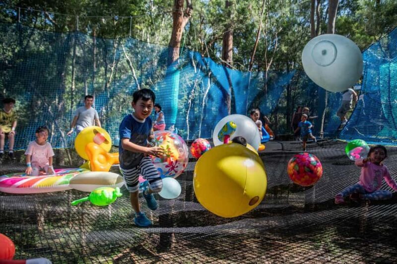 Canberra: Networld Treetop Adventure - Practical Tips for Your Visit