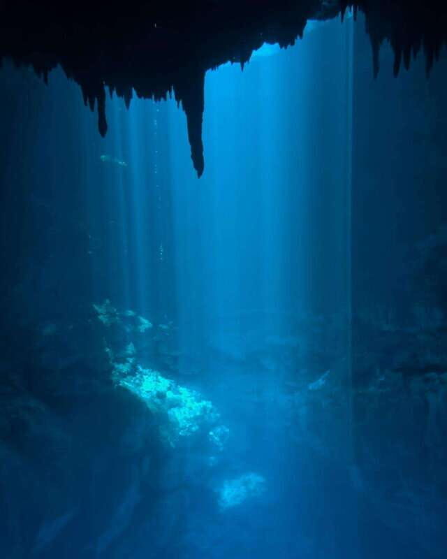 Cancun 2 Cenote Dives: The Pit & Dos Ojos - Certified Divers - Equipment and Inclusions