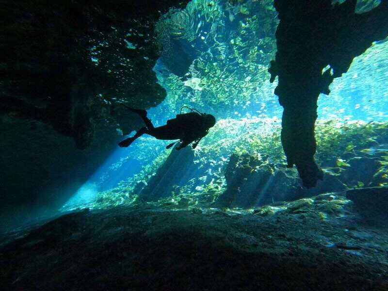 Cancun 2 Cenote Dives: The Pit + Nicte Ha - Certified Divers - Value for Money
