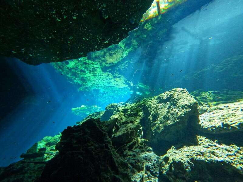 Cancun 2 Cenote Dives: The Pit + Nicte Ha - Certified Divers - Who Is This Tour Best Suited For?