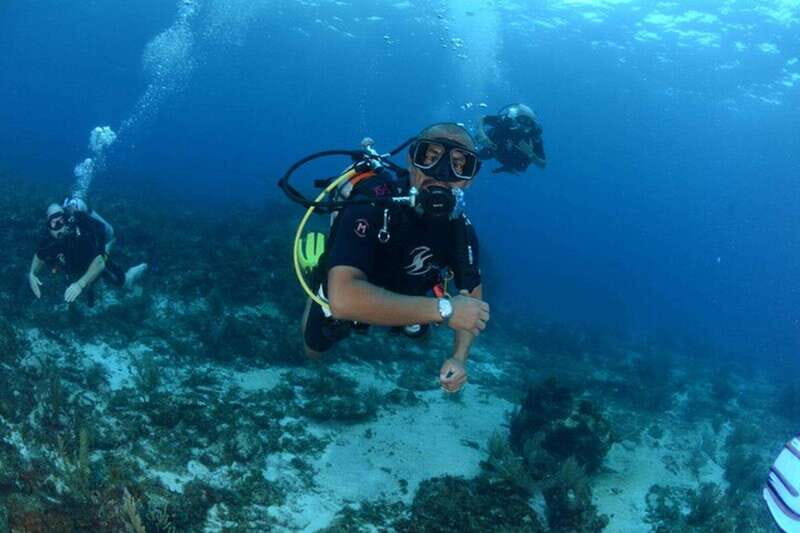 Cancún: 2-Day PADI Open Water Diving Course - Final Thoughts