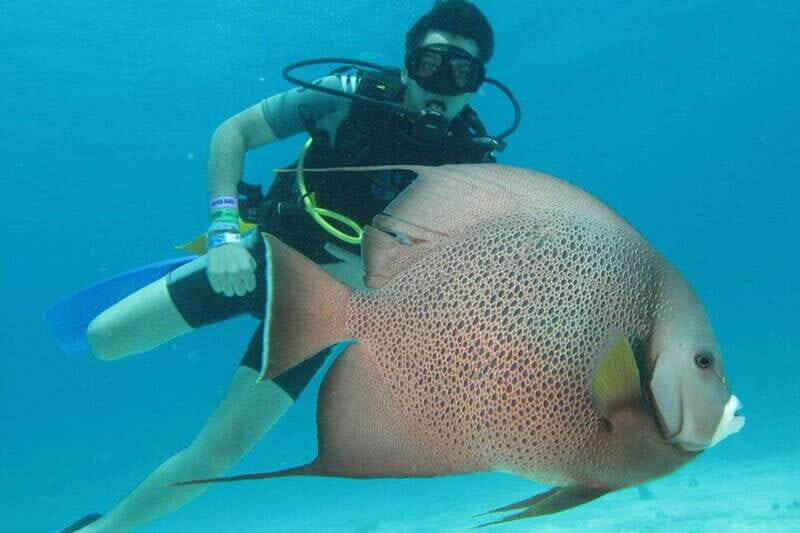 Cancún: 2-Day PADI Open Water Diving Course - FAQs