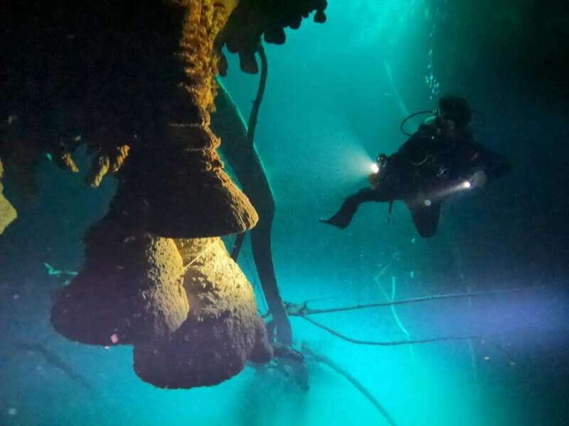 Cancun: 2 Dives in Cenotes Ki Ha + Zapote - Certified Divers - An In-Depth Look at the Cenote Diving Experience in Cancun