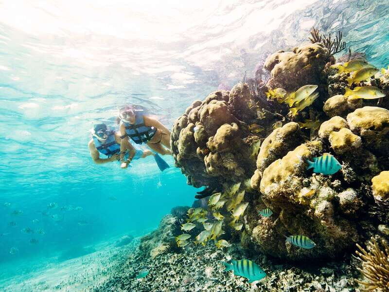 Cancun: 2Hour Speedboat Experience - Authentic Insights from Reviews