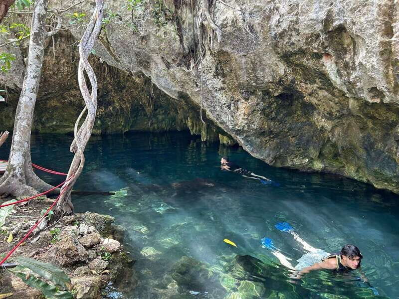 Cancun: 3 Cenotes & 1 Lagoon Tour - Discover the Beauty of Cancun: 3 Cenotes & 1 Lagoon Tour