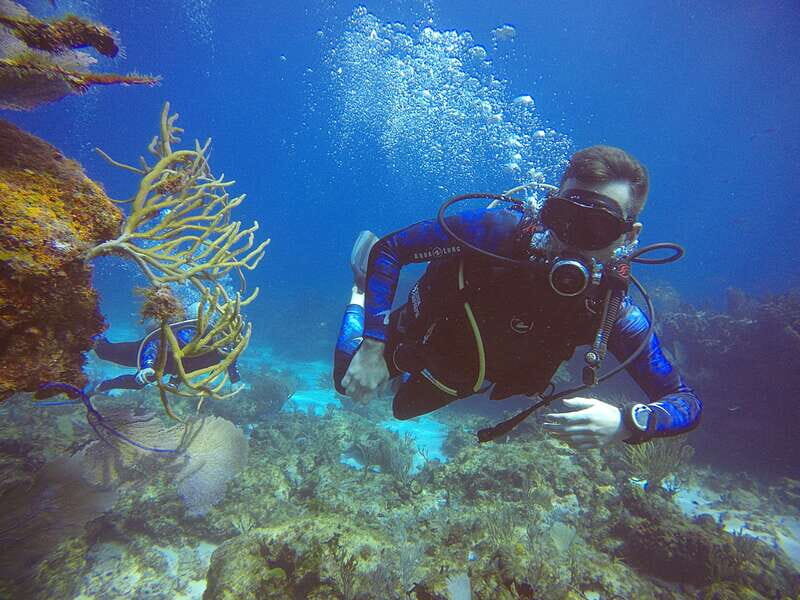 Cancun: 3 Days SDI Open Water Diver Certification - Cancun: 3 Days SDI Open Water Diver Certification – A Complete Guide