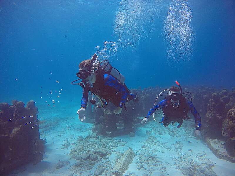 Cancun: 3 Days SDI Open Water Diver Certification - The Experience: Pros and Cons