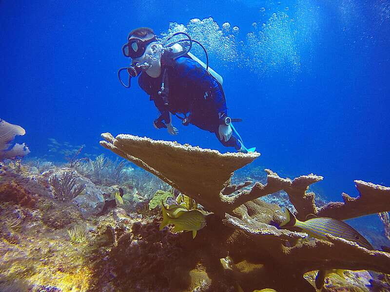 Cancun: 3 Days SDI Open Water Diver Certification - FAQ