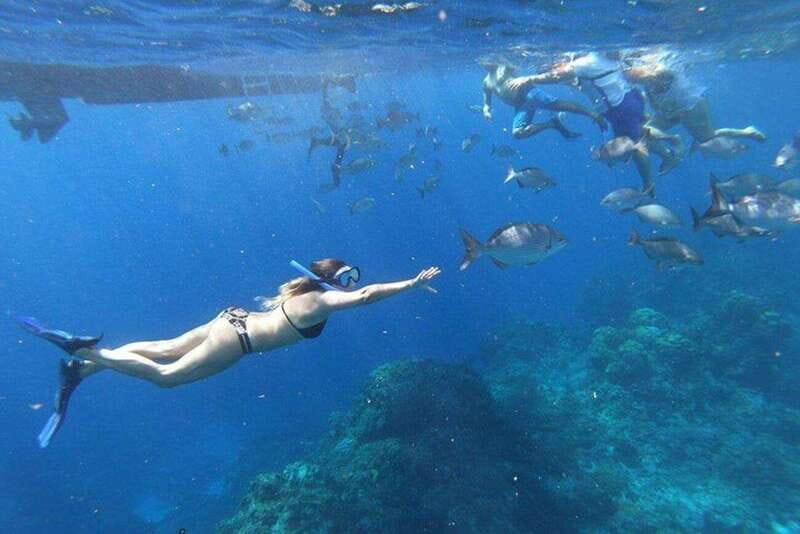 Cancun: 3 Islands Snorkel Adventure - Exploring the Itinerary in Detail