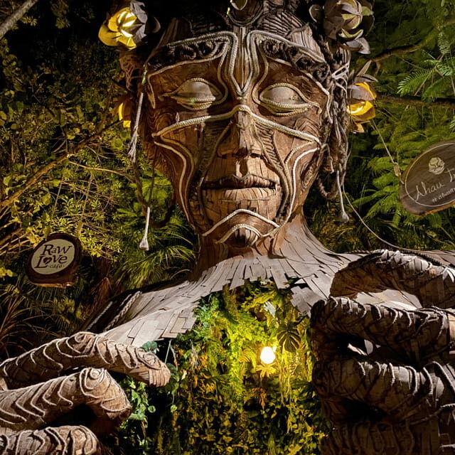 Cancun 4x1: Coba, Tulum, Playa del Carmen, and a Cenote - Who Is This Tour Best For?