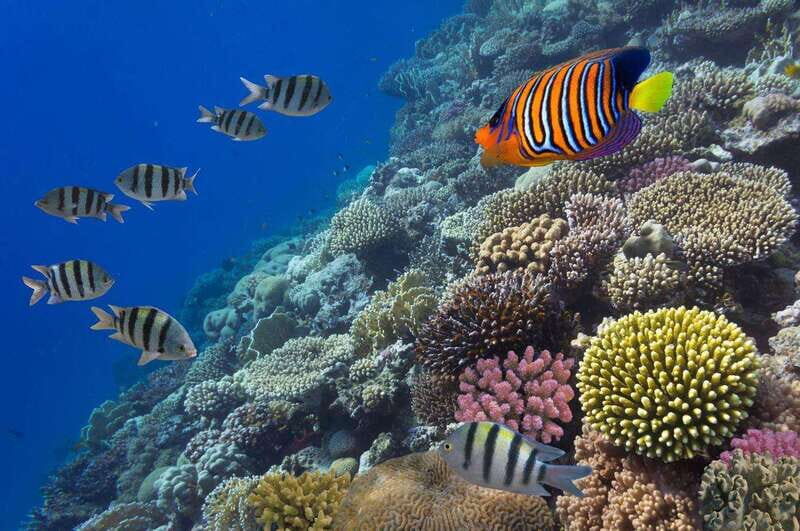 Cancun: 52-Foot Yacht Rental - FAQ