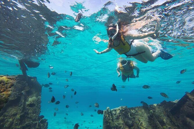 Cancun 6 in 1 Snorkeling Tour: MUSA, Shipwreck, Reefs & Cenotes - Practical Aspects of the Tour