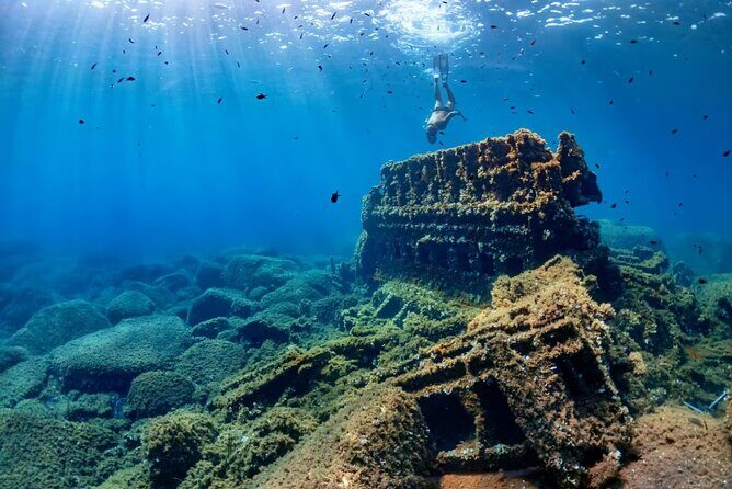 Cancun 6 in 1 Snorkeling Tour: MUSA, Shipwreck, Reefs & Cenotes - FAQ