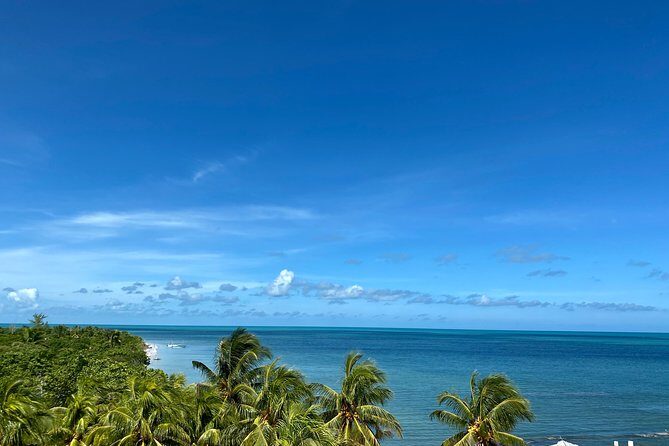 Cancun Airport Shared Shuttle to Holbox Chiquila Port - Transportation Details and Comfort